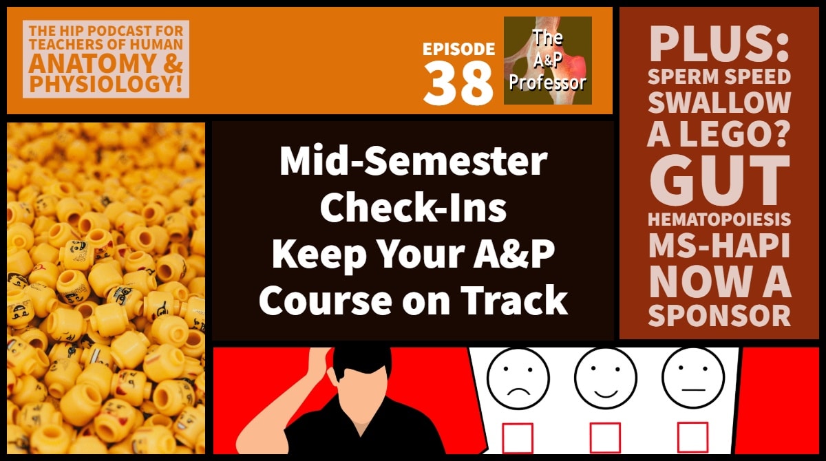 Mid-Semester Check-Ins Keep Your A&P Course on Track | TAPP 38