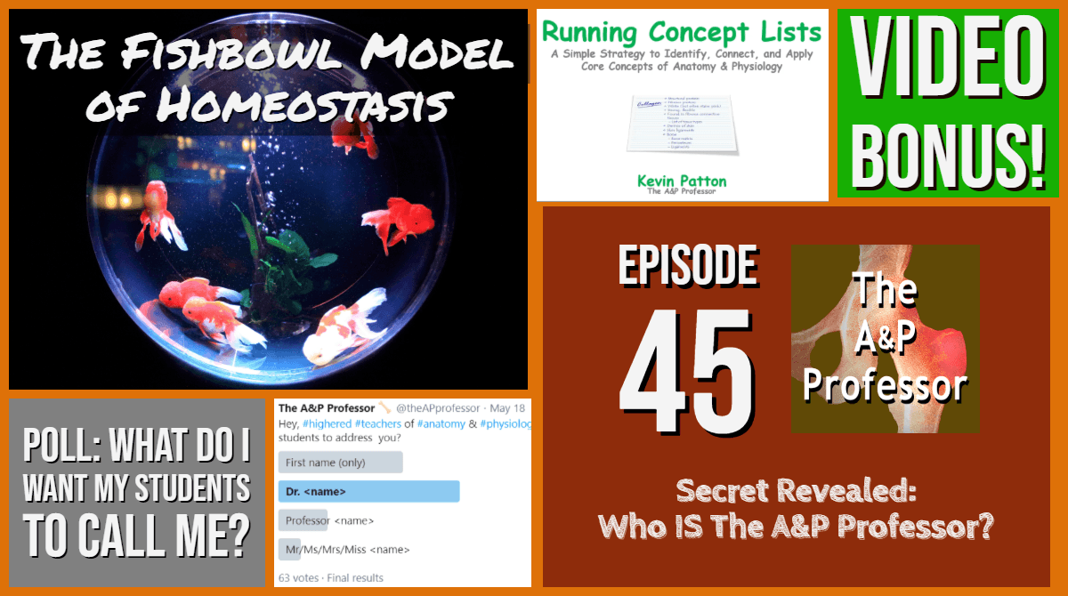 Fishbowl Model of Homeostasis | Concept Lists | TAPP Identity | TAPP 45